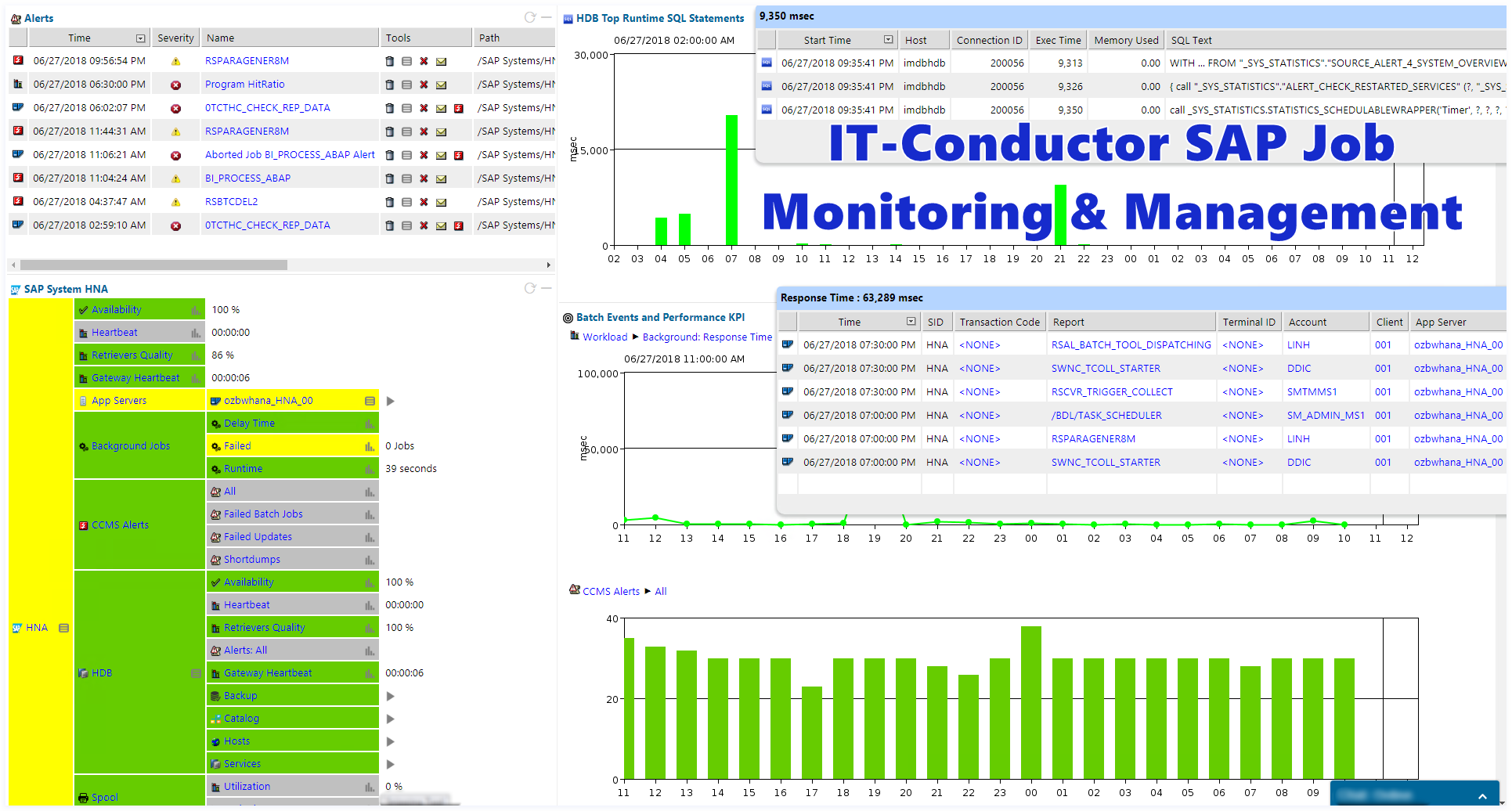 End-to-End SAP Job Monitoring and Management